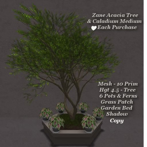 Second Life Marketplace - Zane Acacia Tree & Caladium Med1